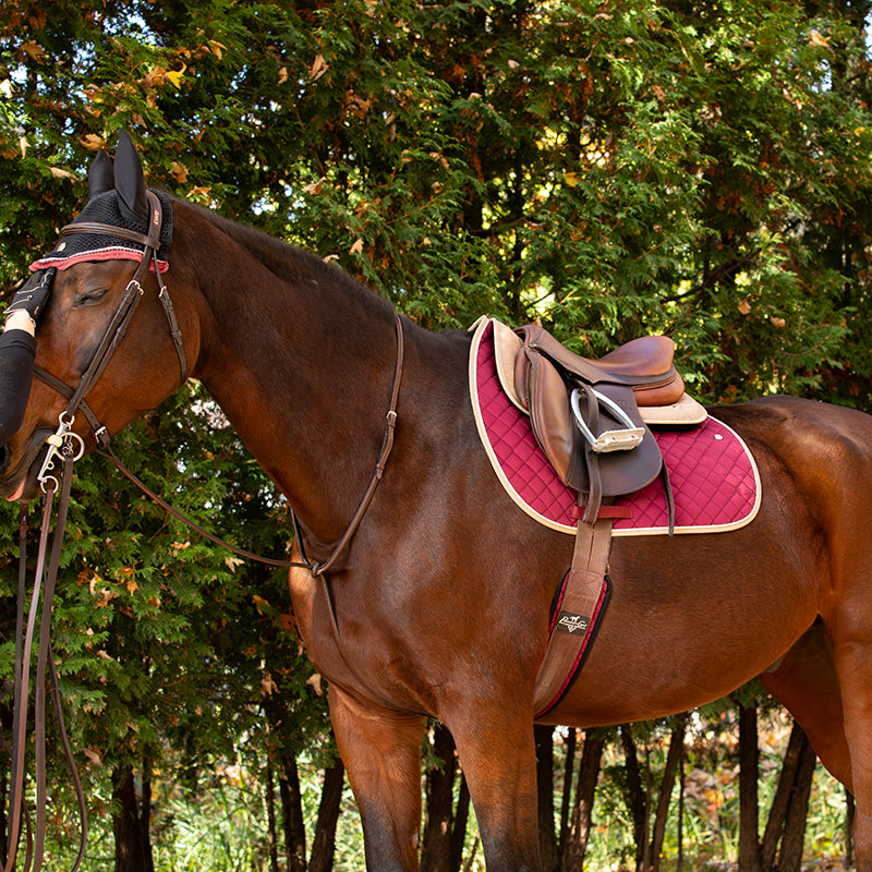 Ogilvy Equestrian