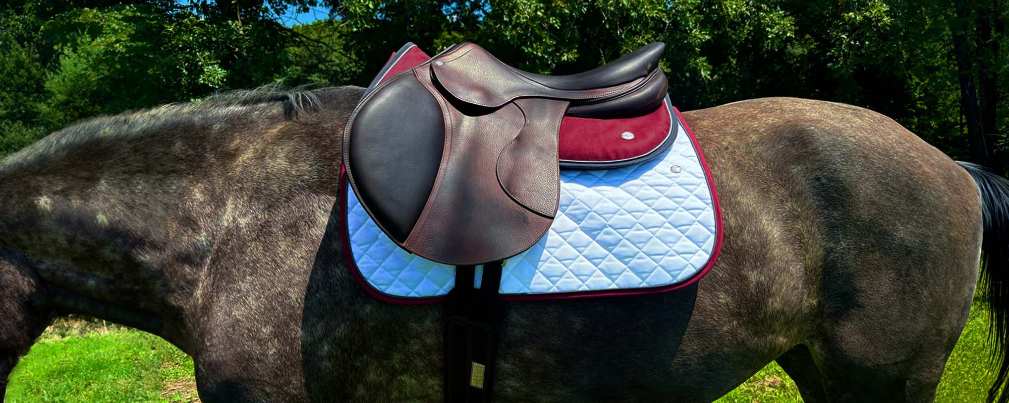 Ogilvy Equestrian